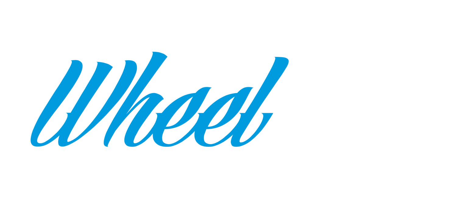Most Common Causes of Wheel Damage